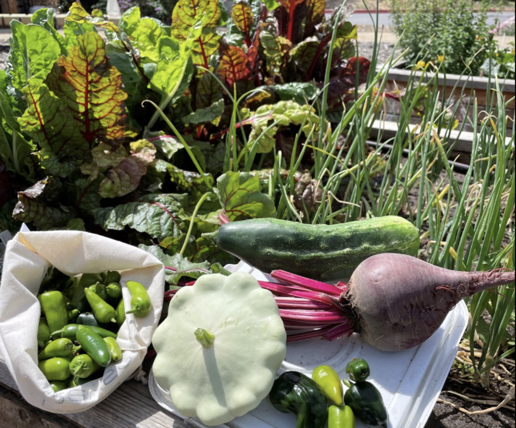 Free Self-Paced Master Composter Certificate Program - The HD Post