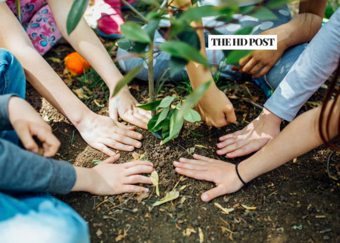 Victorville Library giving away free tree for Earth Day - The HD Post