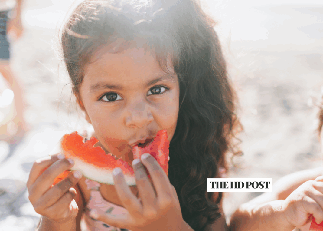California kids get a $120 grocery boost with SUN Bucks - The HD Post